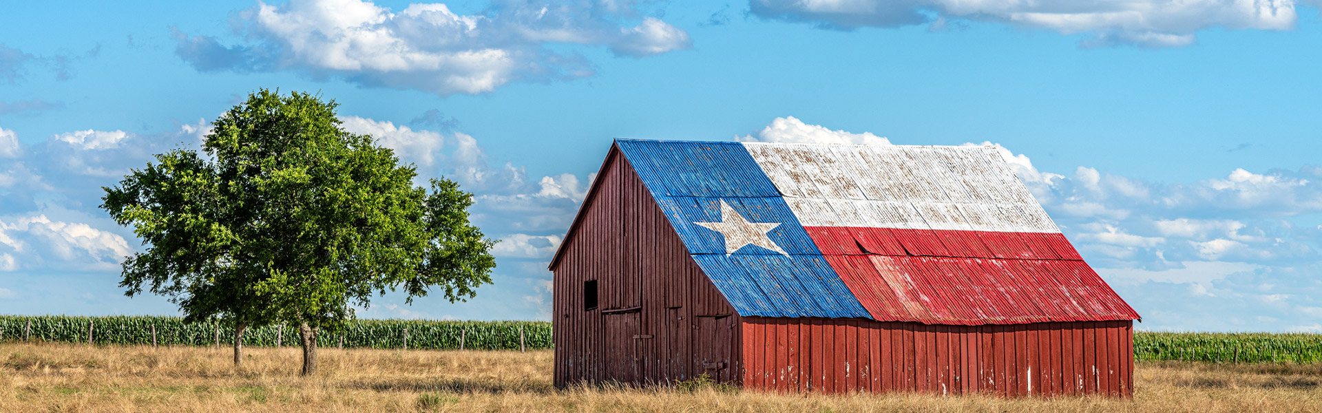 Pack In/Pack Out Services - Texas Elite Restoration